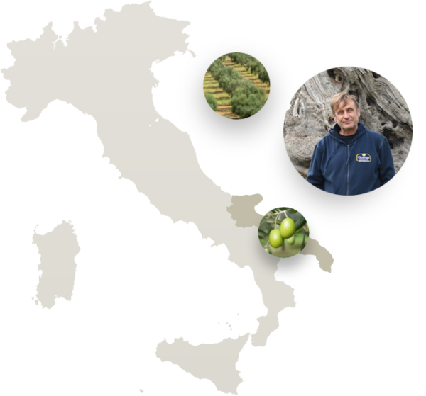 Olivery | Over ons | Olijfolie door de brievenbus | Gratis bezorging